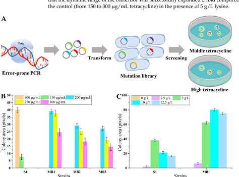 Figure 2 From High Throughput Screening Of Transcription Factor Lysg For Constructing A Better