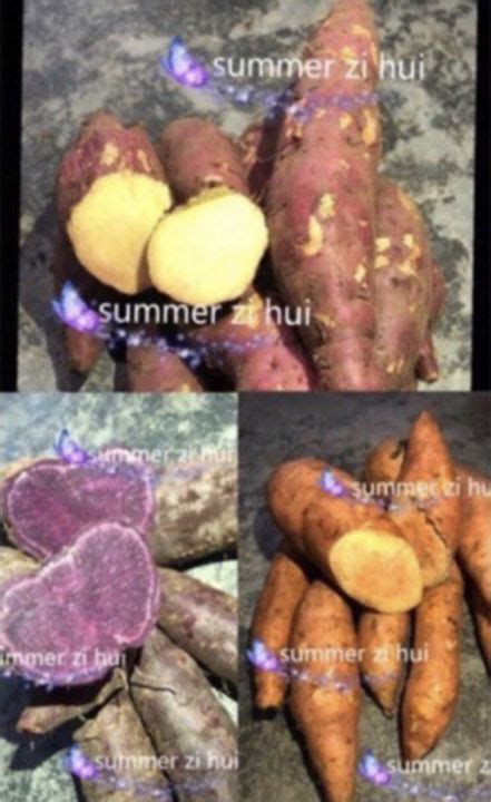 Sweet Potatoes 1kg Japanese Sweet Potatoes Cameron Highlands Ubi Manis Keledek Manis