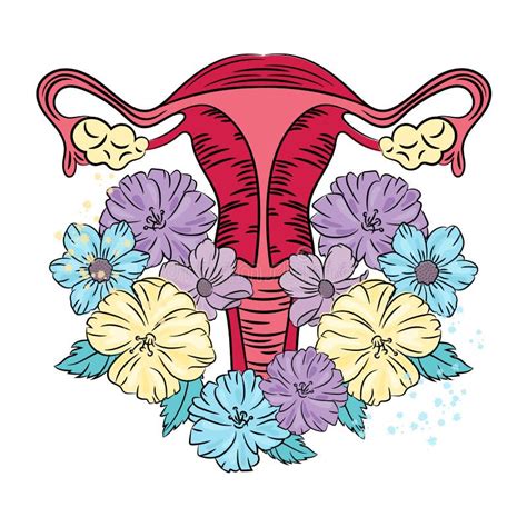 Female Reproductive System Medicine Education Scheme Vector Stock Illustration Illustration Of