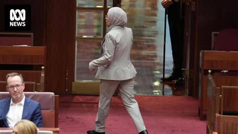 Labor Senator Could Remain In Party Despite Defiance On Palestinian Recognition Jessica Setefano