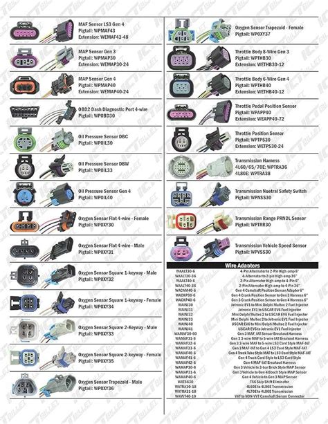 Ls1 411 Pcm Pinout Comprehensive Guide And Diagrams