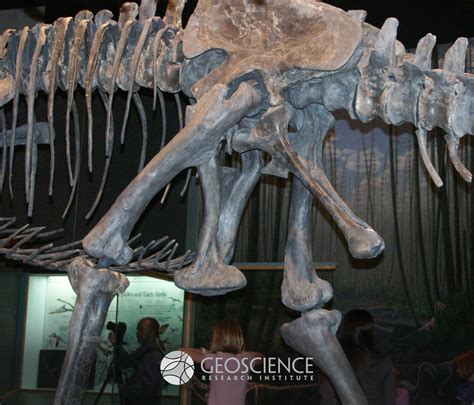 Geoscience Research Institute Paleontology