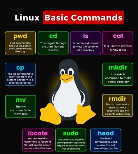 exlearn training on linux commands shreedhar sutar posted on the