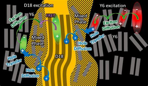 Exciton Diffusion To Low Energy Sites Of The Acceptor Drives Charge