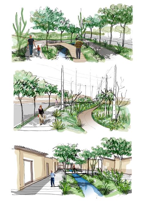 Landscape Design Illustrations Landscape Architecture Drawing