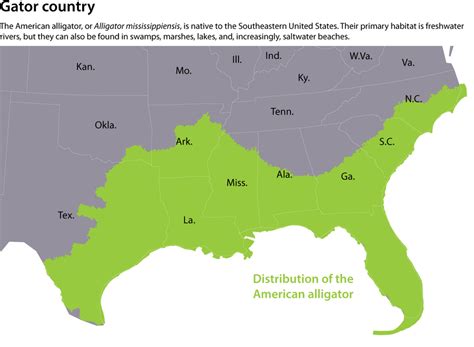 Alligators In Florida Map