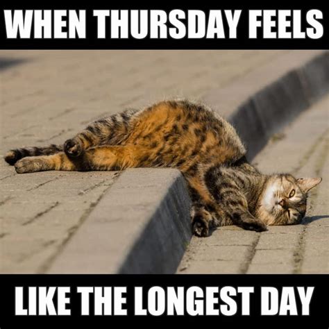 18 Funny Thursday Memes To Make You Lol