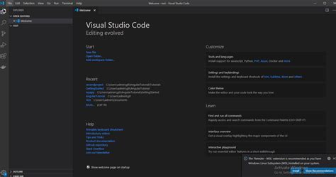 What Is Angular Js Directive