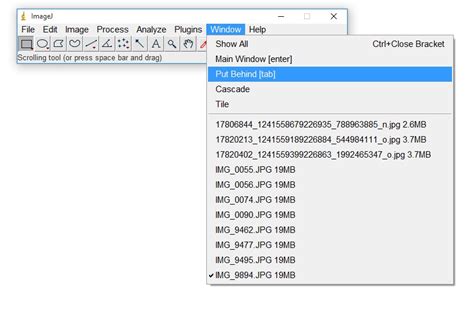 my imagej การสลับหน้าต่างย่อย ด้วยเมนู put behind หรือการกด tab