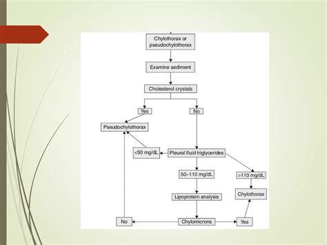 Pleural Effusion Etiopathogenesis Clinical Features Advances In Management Pptx