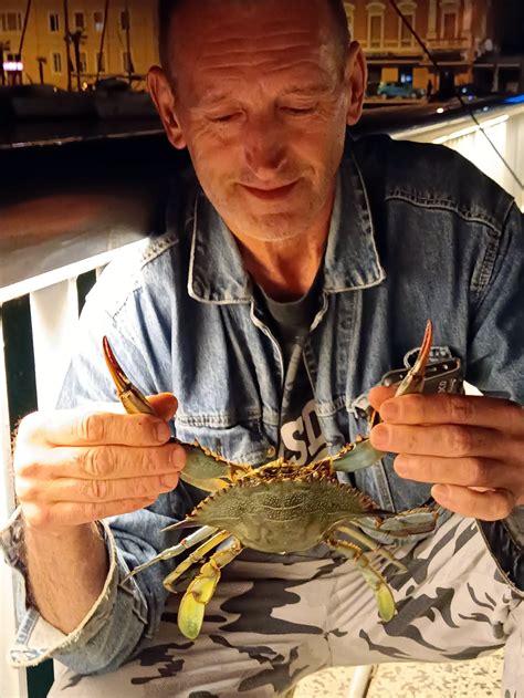 Plavi Rak U Zadarskim Jazinama Na Udici