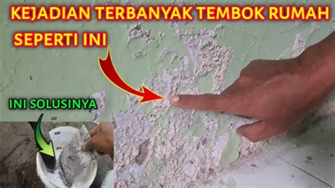 Tembok Rumah Jelek Karena Ngelupas Ini 7 Langkah Simpel Yang Bikin