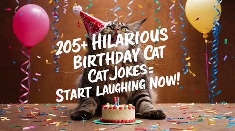 205 Hilarious Birthday Cat Jokes Start Laughing Now