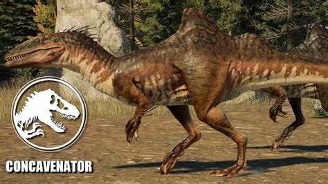Concavenator Vs Australovenator All Animations And Skins Jwe 2