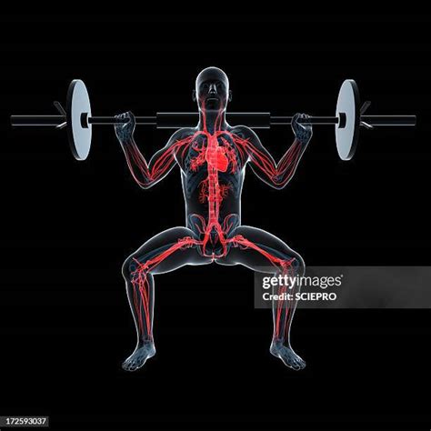 117 Dumbell Black Background High Res Illustrations Getty Images