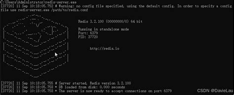 Redis服务手动启动和自动启动两种方式redis怎么启动 Csdn博客