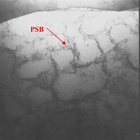 Dislocation Cell Structure Showing Curved Screw Dislocations As Download Scientific Diagram