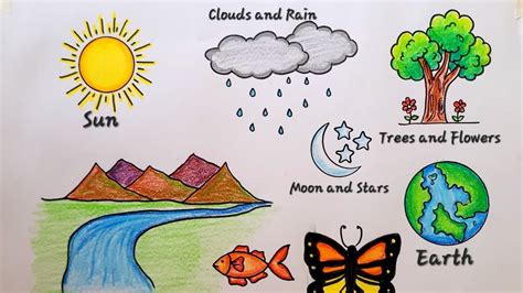 How To Draw Natural Objects