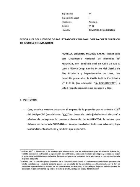 Demanda De Alimentos Pdf Debido Al Proceso Jurisdicción