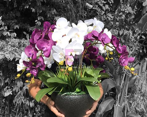 Gallery Ef Decor Sdn Bhd