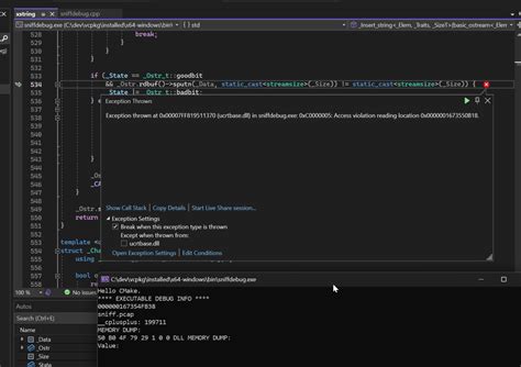 Libtins Basic Example With Libtins FileSniffer Fails To Create Constructor With The String