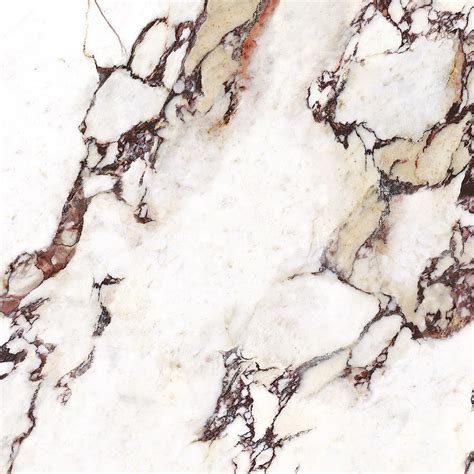 Calacatta Viola Calacatta Viola Calacatta Viola 60x60 60x60cm Porcelán