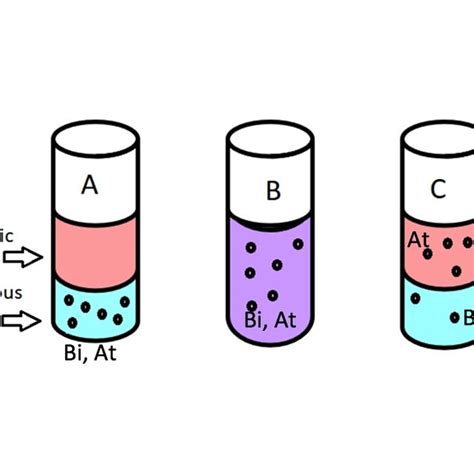 Schematic Of Liquid Liquid Extraction Process The Organic Phase Is