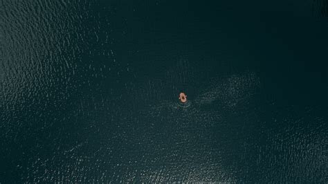 Comment Réinitialiser Un Mac Bloqué Maximumbsd