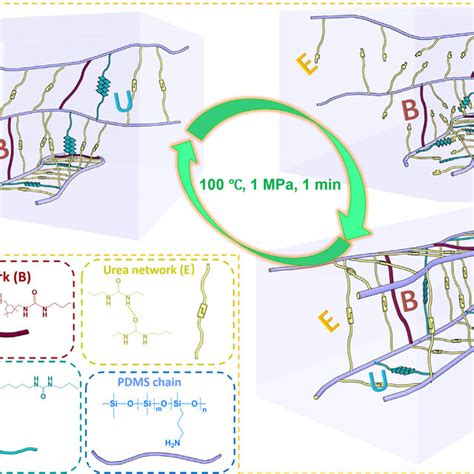 Physical Characterization Of Pdms E B X U Y Samples A Ftir Spectra
