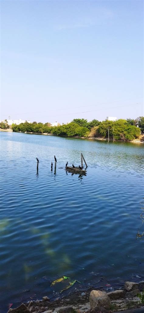 Ashwitha Reddy On Linkedin Photography Summer Hobbies Fitness