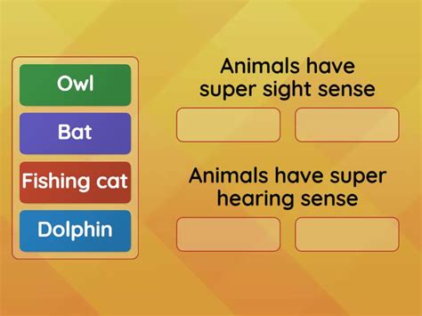 Classify 3 Group Sort