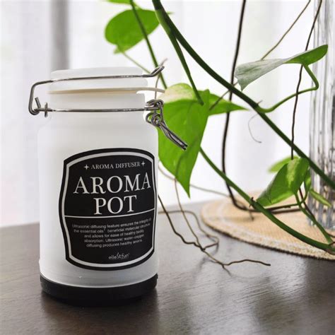 Aroma Pot Diffuser Nila Singapore