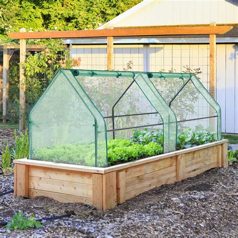 Small Greenhouses For Backyards Greenhouse Growing For Beginners