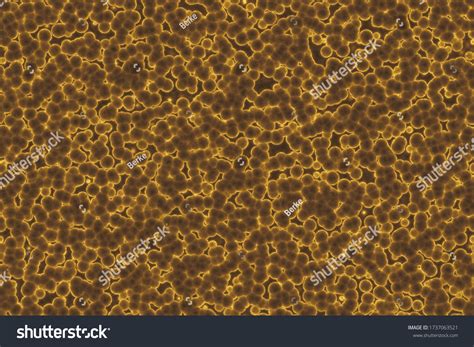 Bacteria Microorganisms Diseasecausing Objects Bacteria Viruses Stock