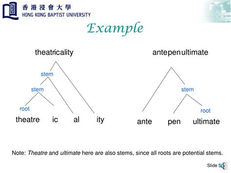 Ppt Root And Stem Morphology Powerpoint Presentation Free Download