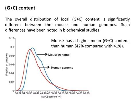 Mouse Genome Pptx