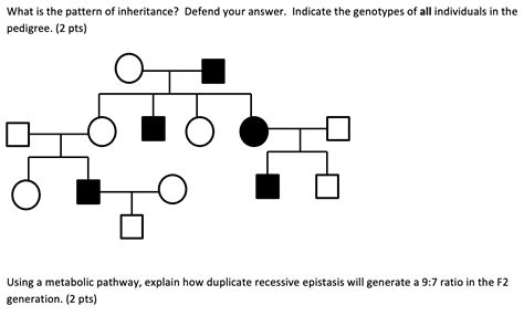 Solved Using A Metabolic Pathway Explain How Duplicate