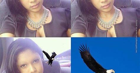 Fake Eyebrows Sometimes They Just Need To Fly Away Imgur