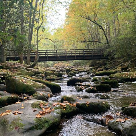 Download Morning Stream By Relaxing Asmr Listen Mp3 320 Kbps And Wav For Free On