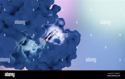 Illustration Of Deucravacitinib Bms 986165 Bound To Its Target