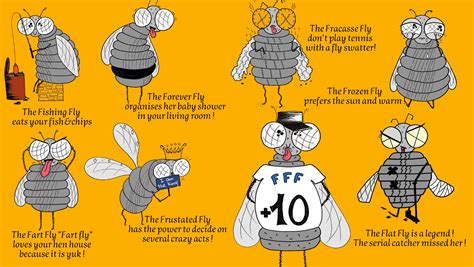 Fly Funky Fly Card Game