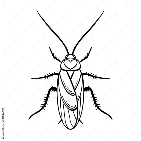 Cockroach Icon In Outline Style Isolated On White Background Insects