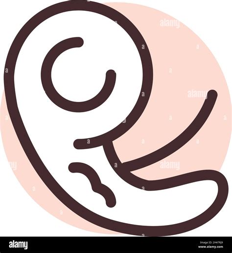 Human Embryo Illustration Vector On A White Background Stock Vector
