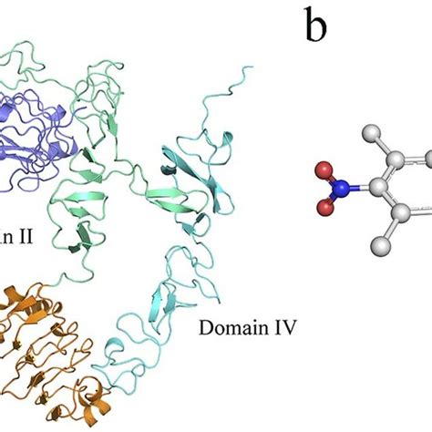 The Response Value Of Ecdmx Complex Quantified By Biacore Assay Download Scientific Diagram