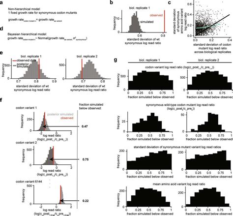 Posterior Predictive Checks Show That The Bayesian Hierarchical Model
