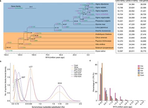 Phylogenetic Position And Comparative Genomics Analyses A Genome