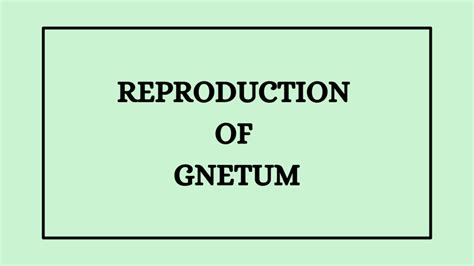 Reproduction Of Gnetum Bio Smart Notes