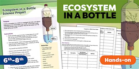 Ecosystem In A Bottle Science Project For 6th 8th Grade