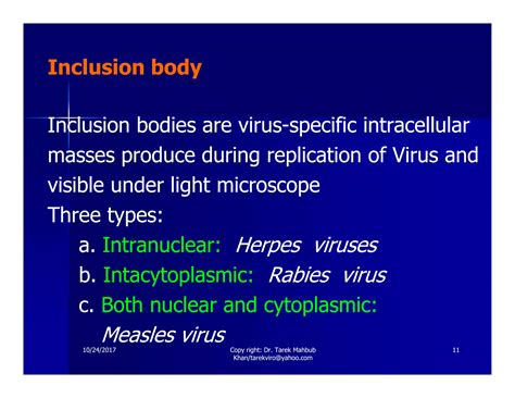 Virus Cell And Virus Host Interaction Virology 7 Pdf
