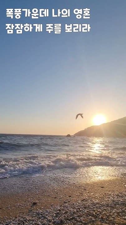 주 품에 주품에 헝그리포갓 Youtube